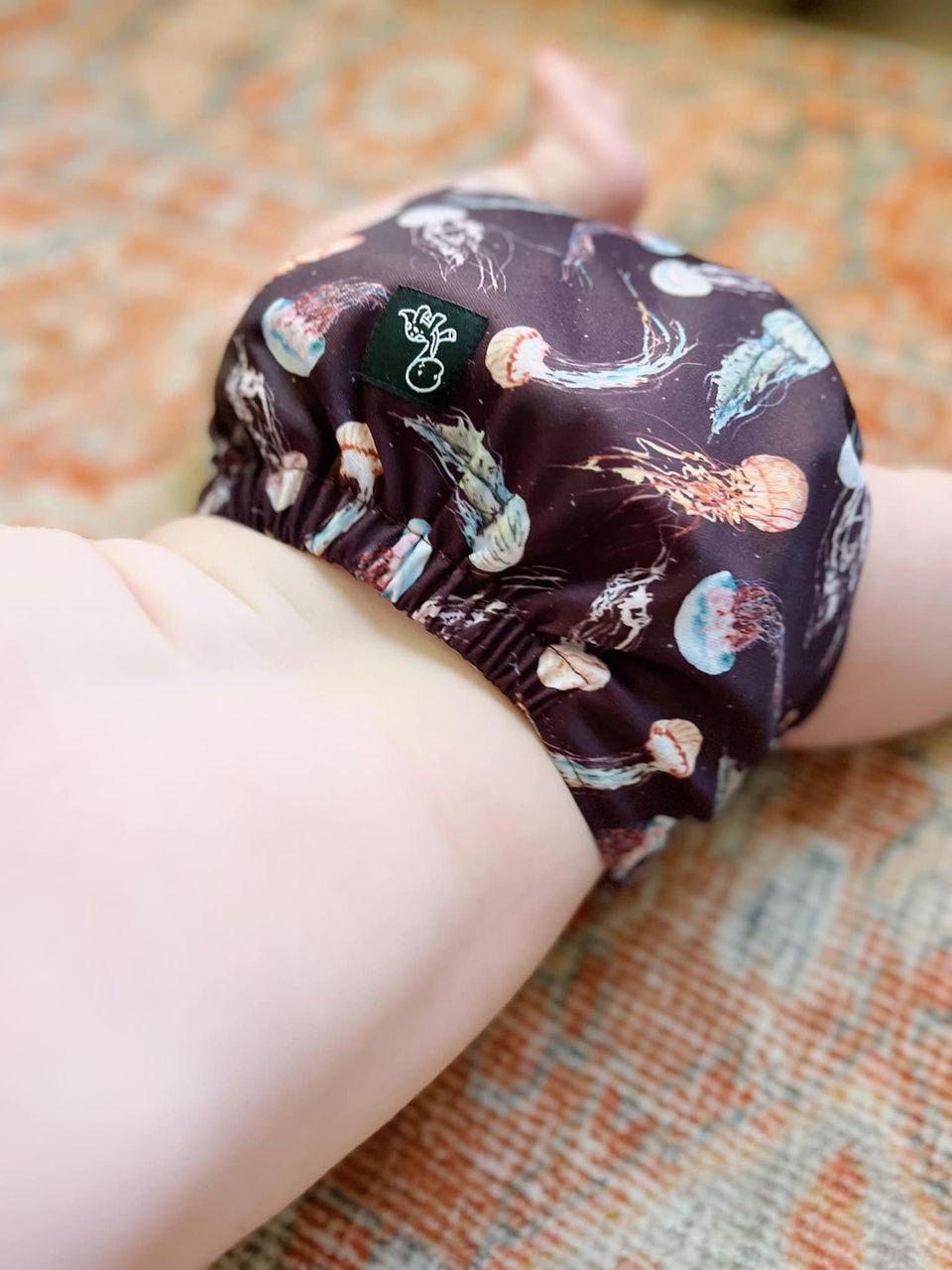 Jelly Belly Reusable Cloth Pocket Diaper – Dino Diapers